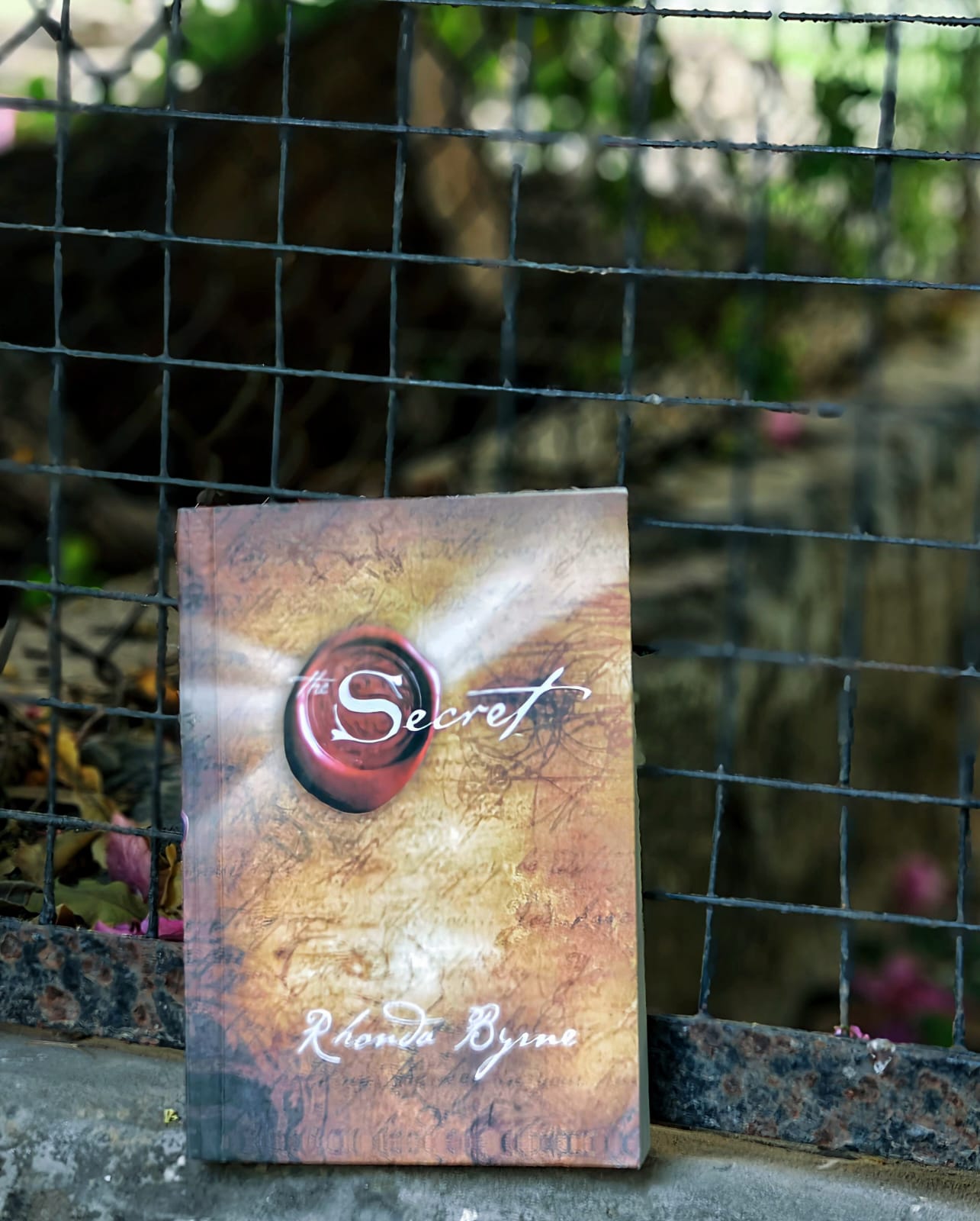 Book Recommendation #6: The Secret by Rhonda Byrne