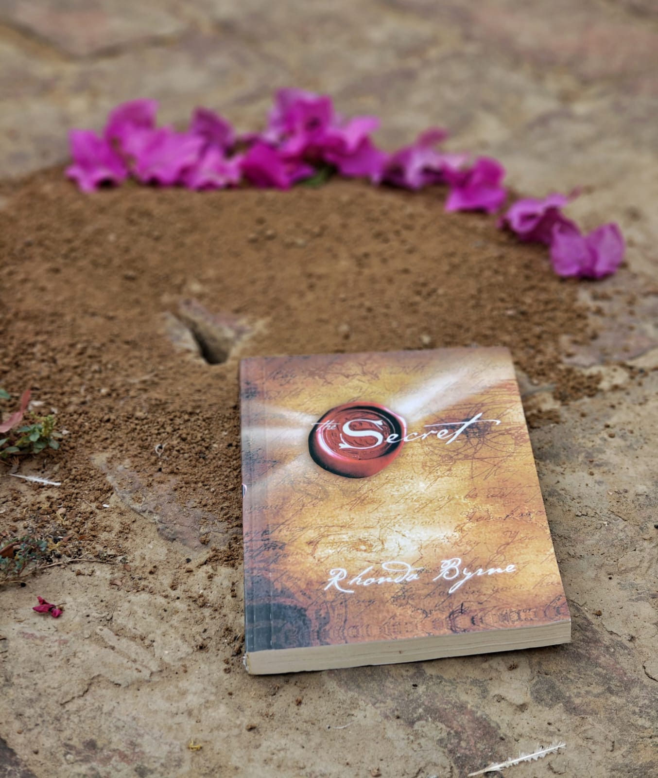 Book Recommendation #6: The Secret by Rhonda Byrne