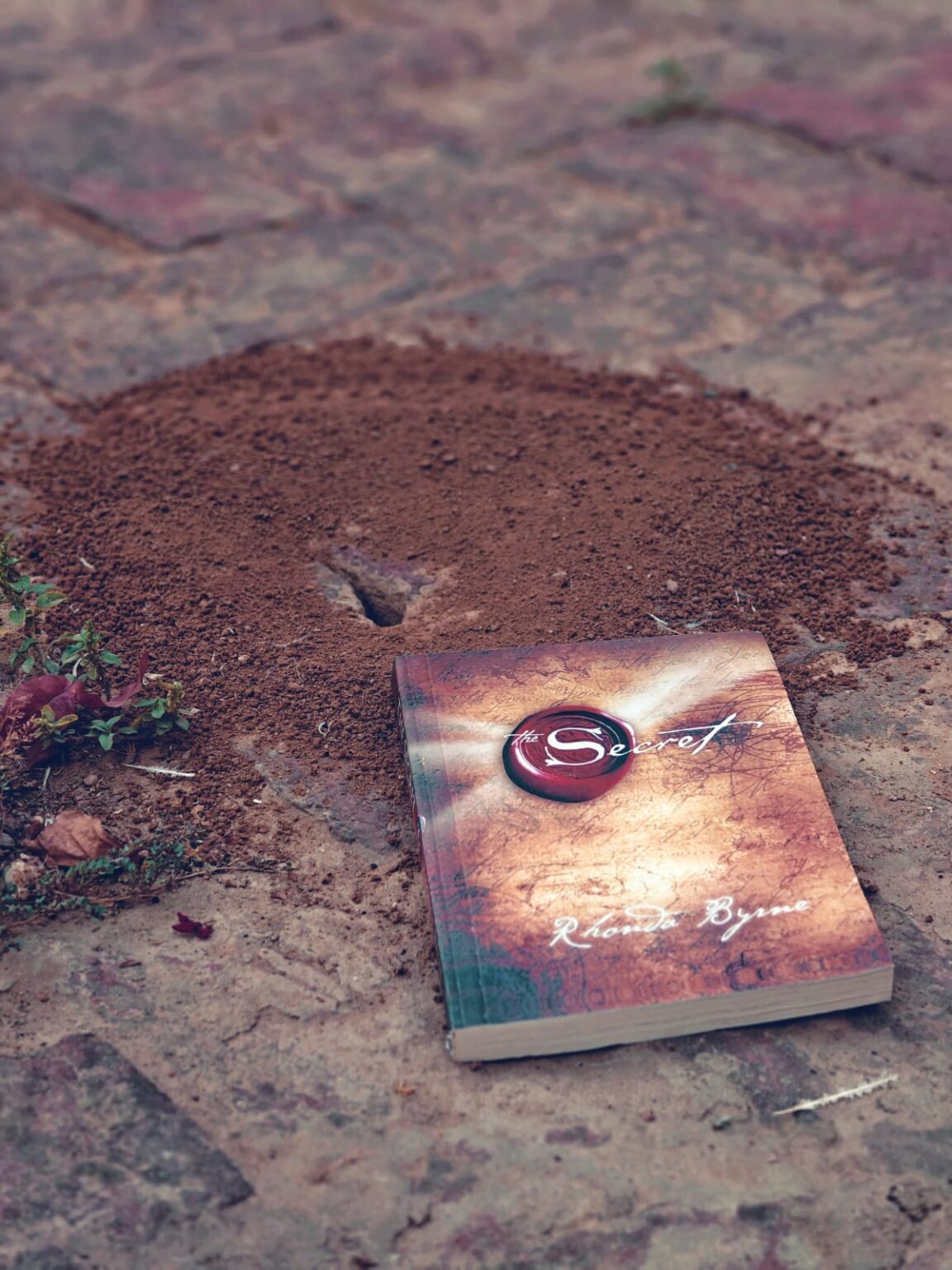 Book Recommendation #6: The Secret by Rhonda Byrne