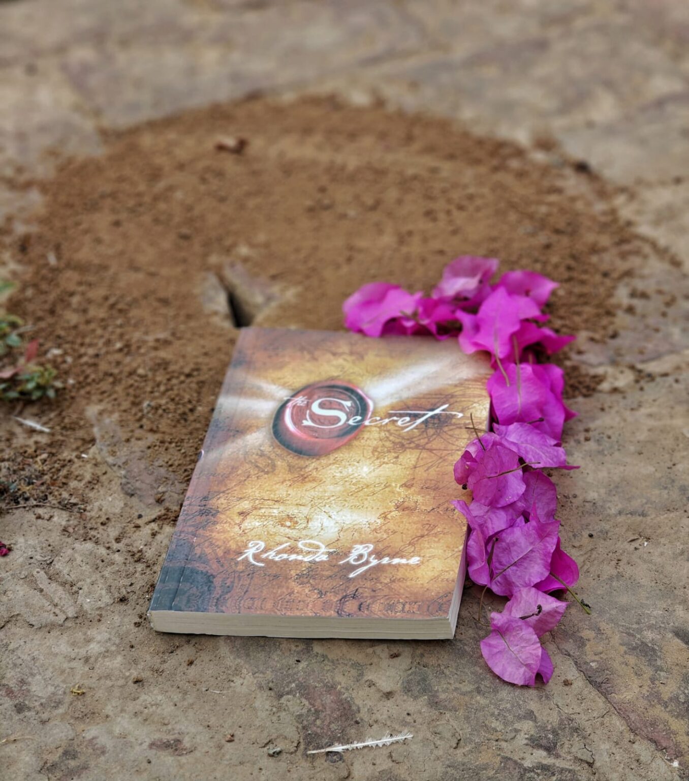 Book Recommendation #6: The Secret by Rhonda Byrne